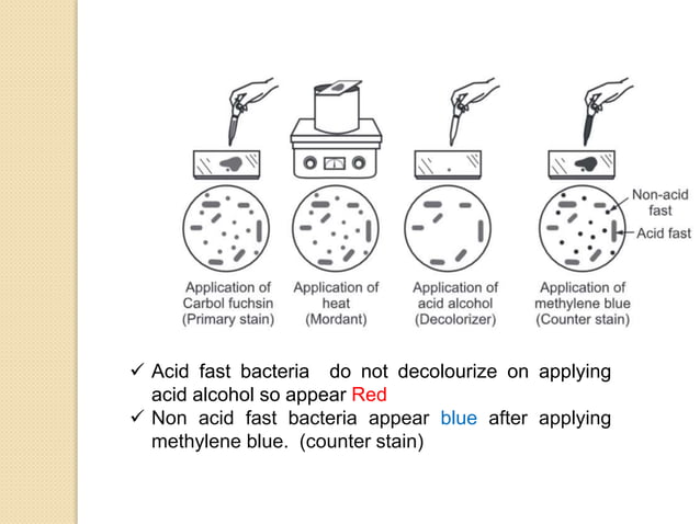 Identification Of Unknown Bacteria And Biochemical Tests.pptx