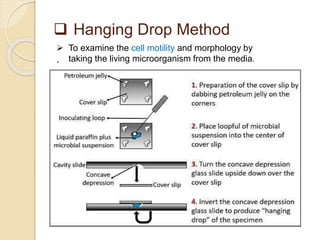 Identification Of Unknown Bacteria And Biochemical Tests.pptx