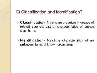 Identification Of Unknown Bacteria And Biochemical Tests.pptx