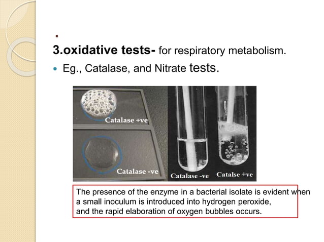 Identification Of Unknown Bacteria And Biochemical Tests.pptx