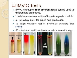 Identification Of Unknown Bacteria And Biochemical Tests.pptx