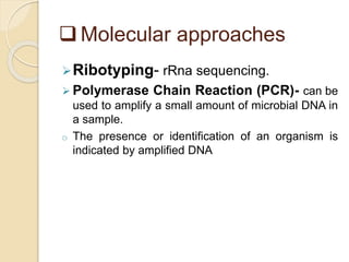 Identification Of Unknown Bacteria And Biochemical Tests.pptx
