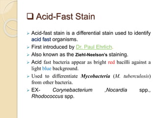 Identification Of Unknown Bacteria And Biochemical Tests.pptx