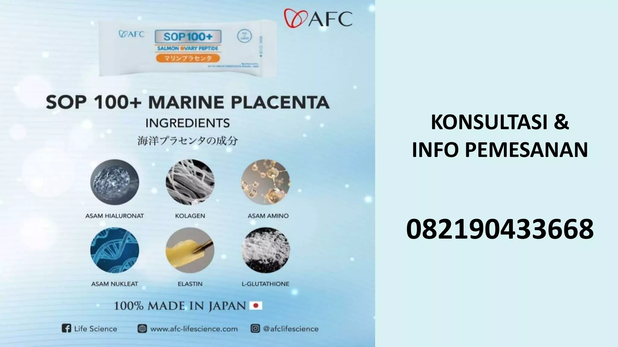 SOP 100+ BALIKPAPAN | PPTX