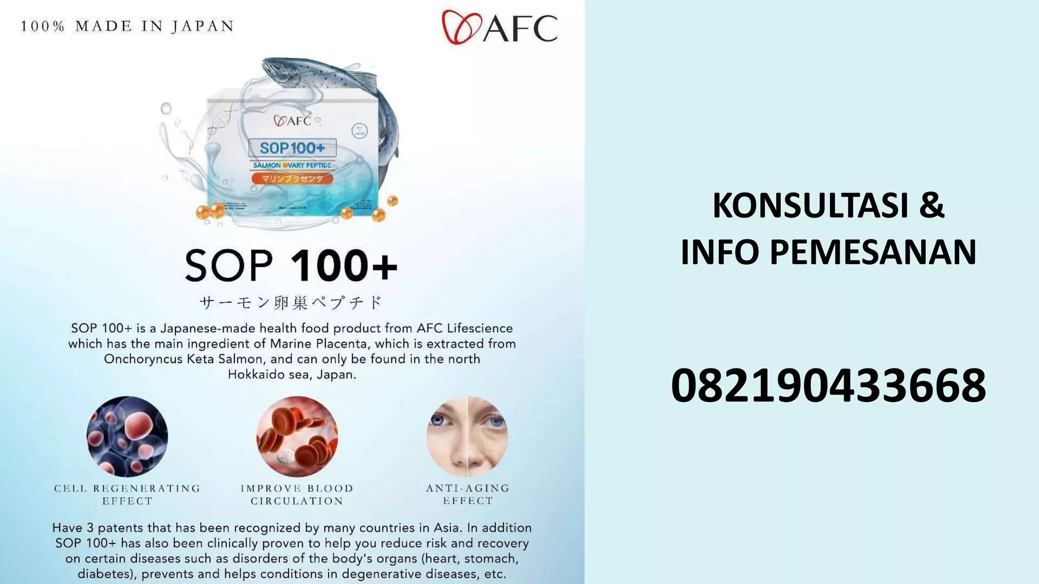 SOP 100+ BALIKPAPAN | PPTX