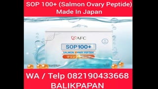 SOP 100+ BALIKPAPAN | PPTX