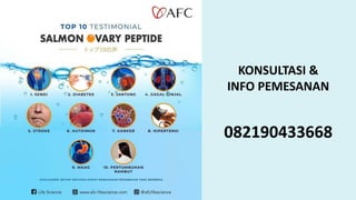 SOP 100+ BALIKPAPAN | PPTX