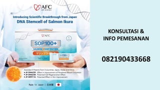 SOP 100+ BALIKPAPAN | PPTX