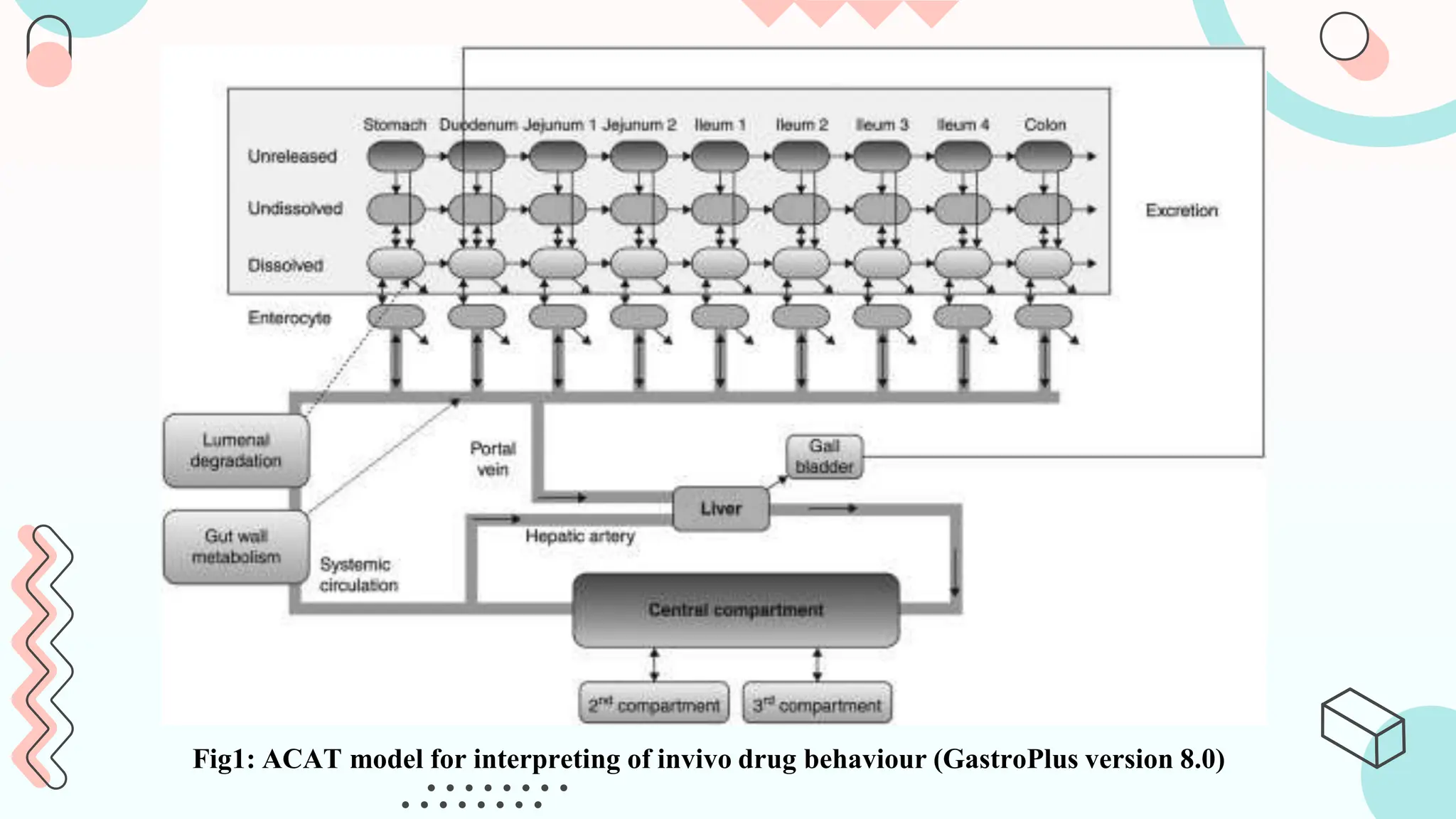 Computer aided biopharmaceutical characterization | PPTX