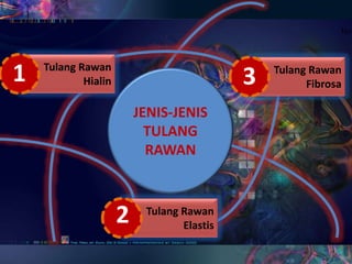 jaringan tulang | PPTX