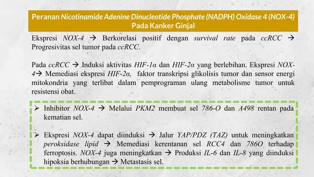 PPT_SP_SEM III_DEWI SRI REZEKI_NOX-4.pptx