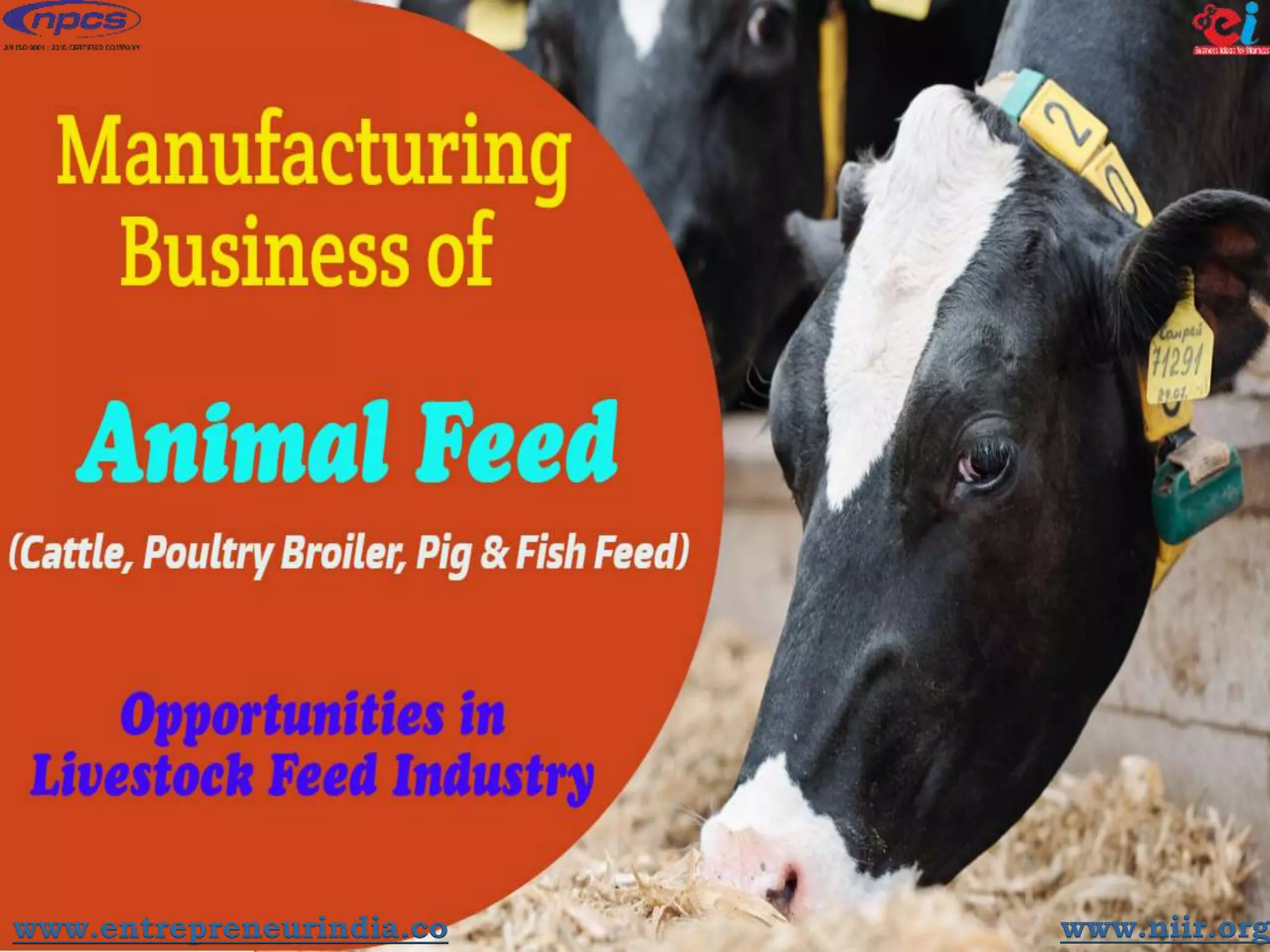 Manufacturing Business of Animal Feed (Cattle, Poultry Broiler, Pig ...