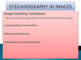 PPT steganography | PPT