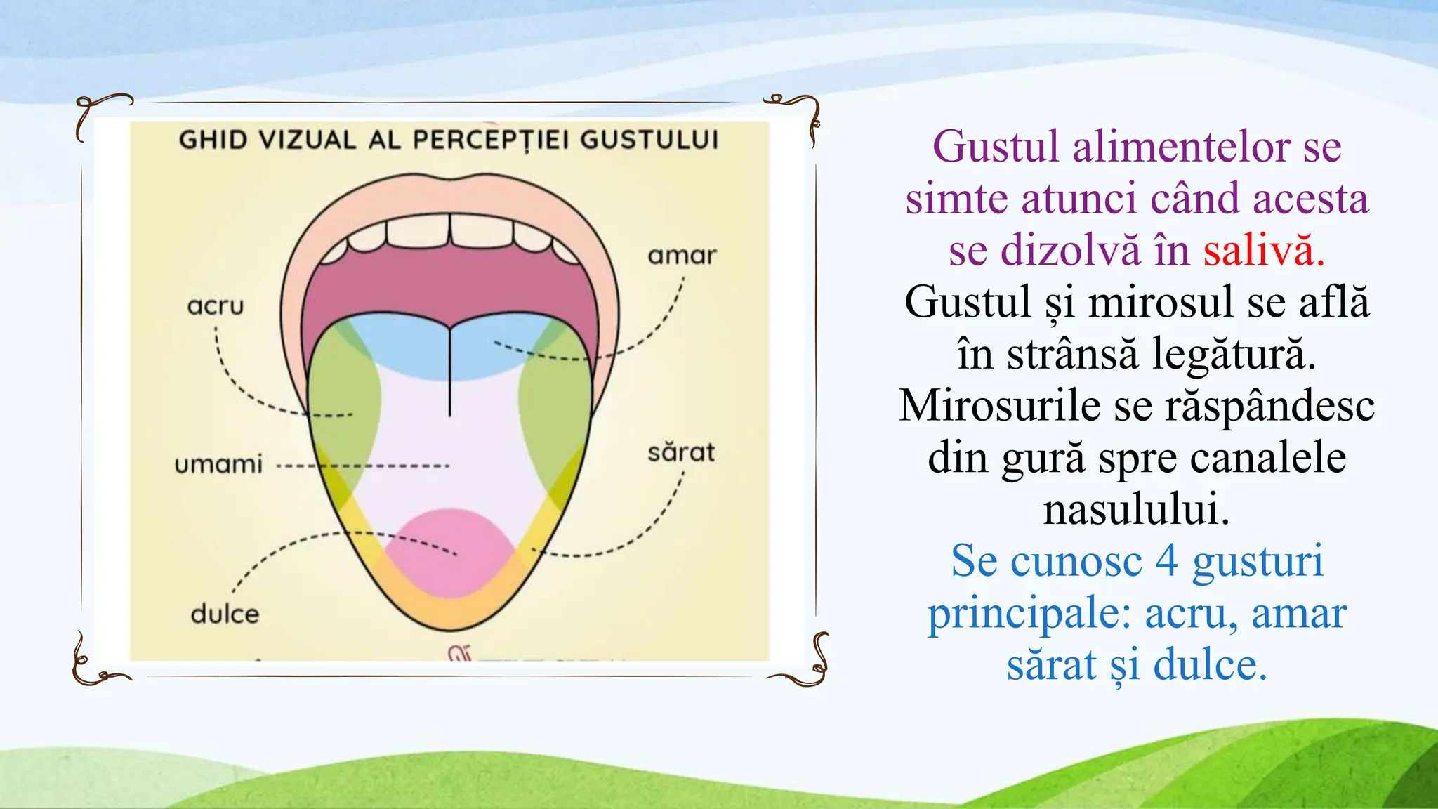 Proiect didactic la științe: Gustul.pptx