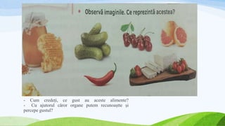 Proiect didactic la științe: Gustul.pptx