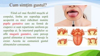 Proiect didactic la științe: Gustul.pptx