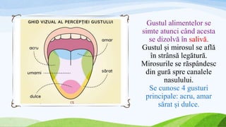 Proiect didactic la științe: Gustul.pptx