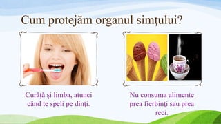 Proiect didactic la științe: Gustul.pptx