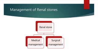 Urinary stone management | PPTX