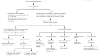 Urinary stone management | PPTX