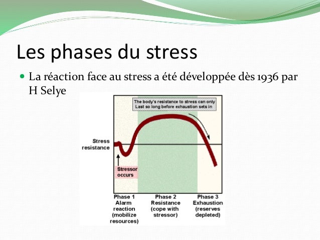 Taulax Consulting : les effets du stress