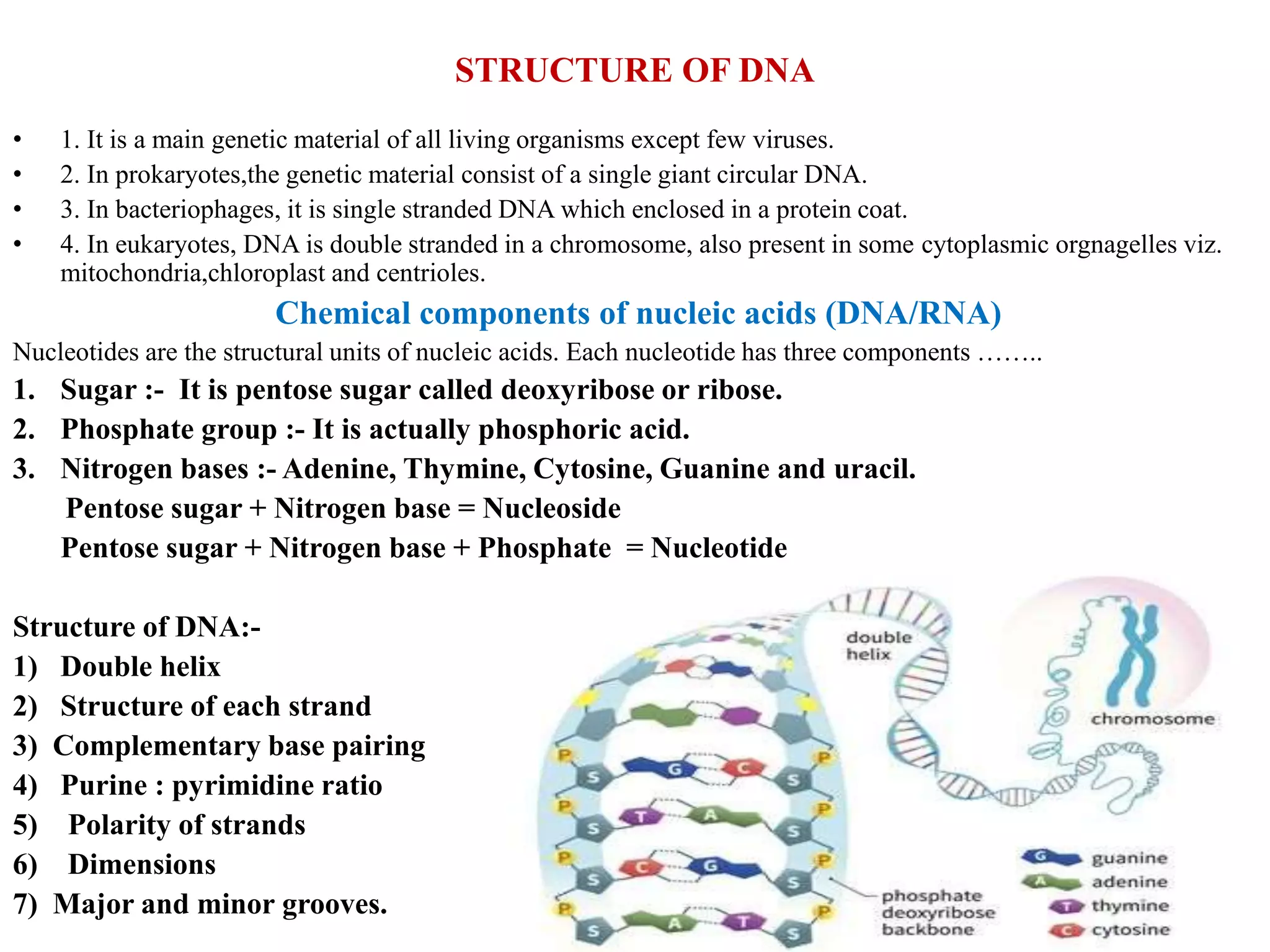 Structure And Types Of Nucleic Acids by Sandeep | PPT