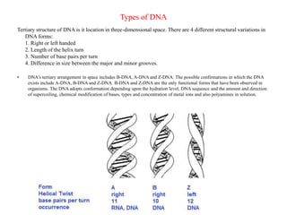 Structure And Types Of Nucleic Acids by Sandeep | PPT