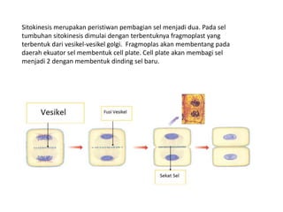 Pertumbuhan dan Perkembangan Sel Tumbuhan | PPTX