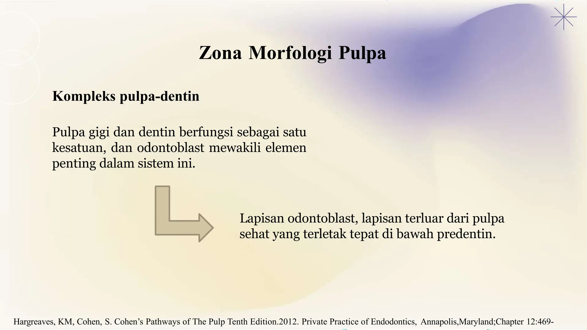 ppt Struktur dan Fungsi Kompleks Pulpa Dentin.pptx