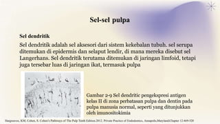 ppt Struktur dan Fungsi Kompleks Pulpa Dentin.pptx