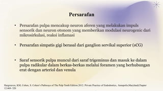 ppt Struktur dan Fungsi Kompleks Pulpa Dentin.pptx