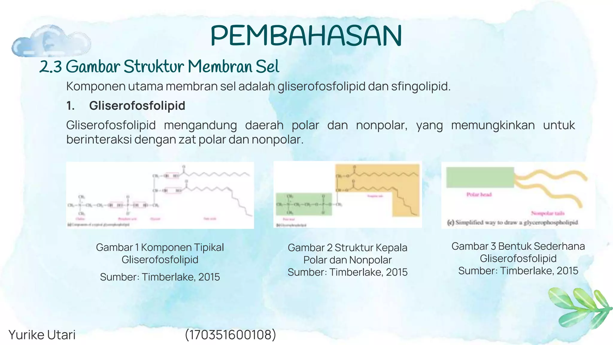 PPT STRUKTUR DAN FUNGSI LIPID_KELOMPOK 12_OFFERING A.pptx
