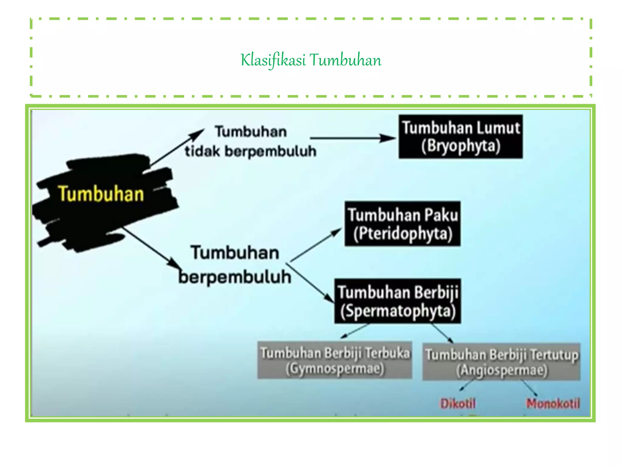PPT Struktur dan Fungsi Organ Tumbuhan.pptx