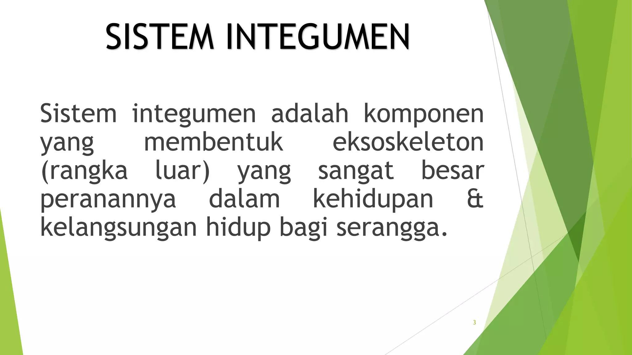Struktur Integumen Insecta | PPTX