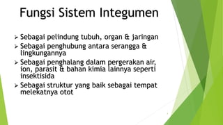 Struktur Integumen Insecta | PPTX