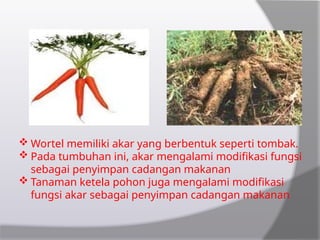 PPT struktur tumbuhan mahluk hidup dan pemanfaatan | PPTX