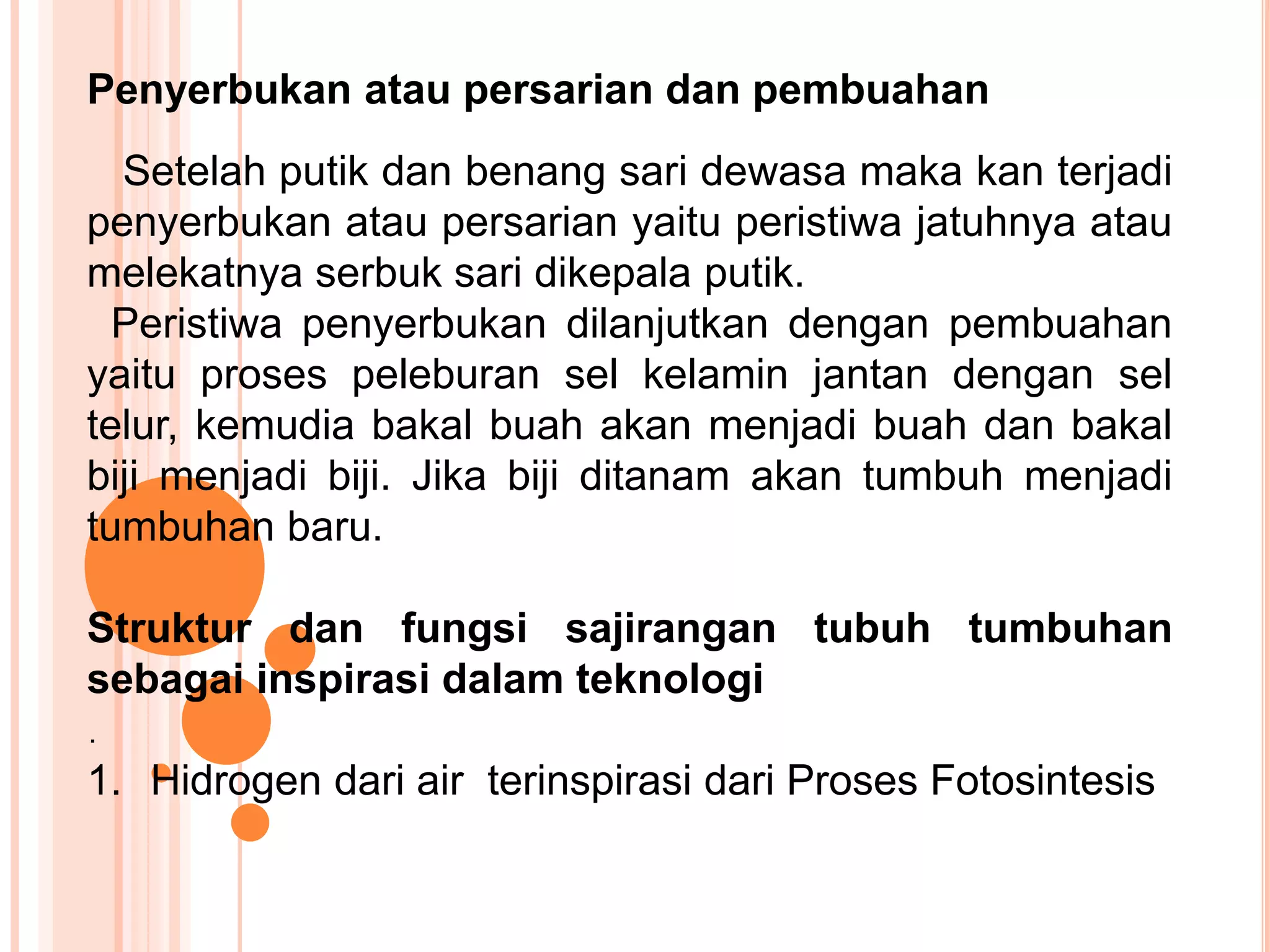 PPT STRUTUR DAN FUNGSI TUMBUHAN.ppt