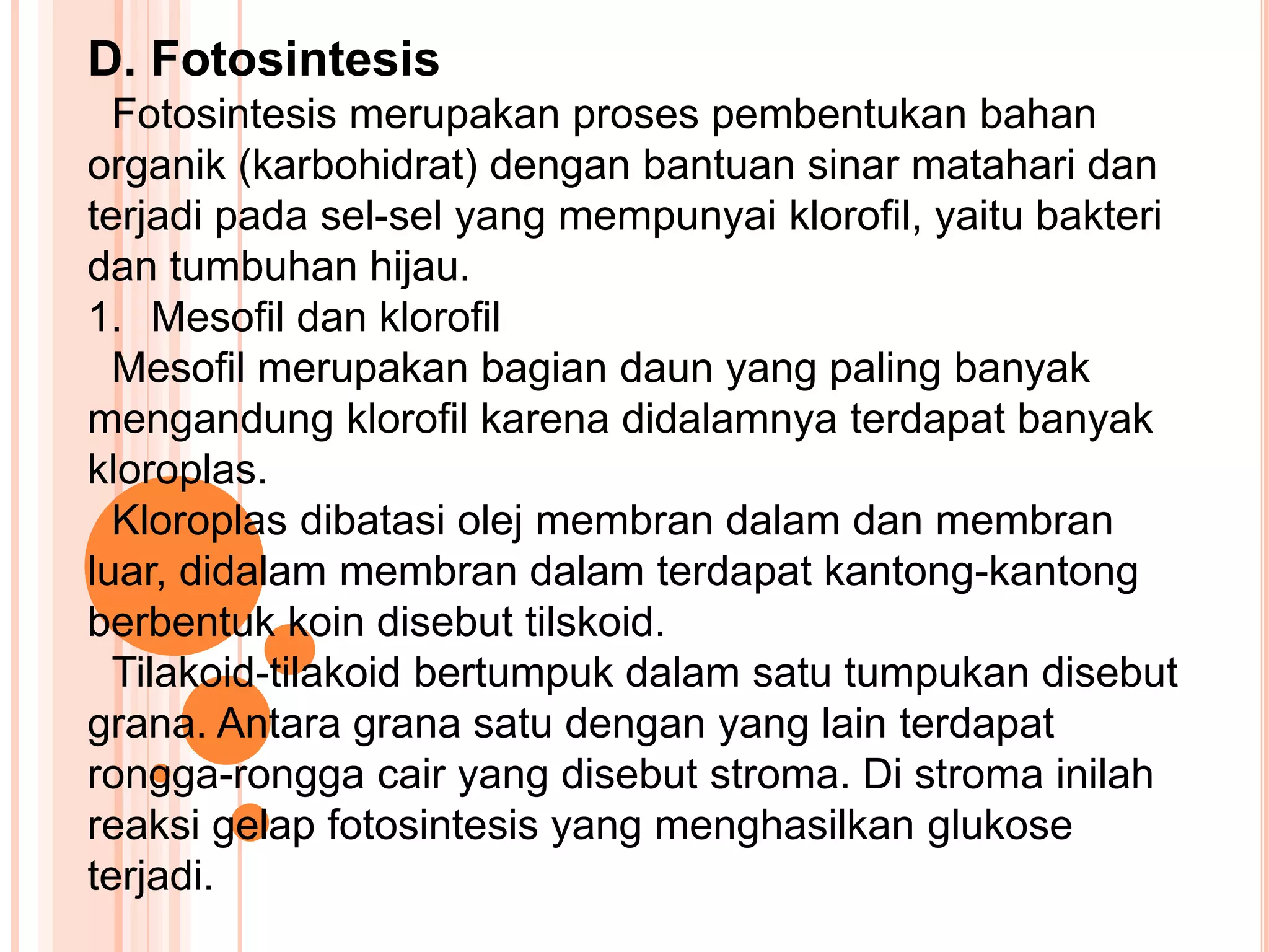 PPT STRUTUR DAN FUNGSI TUMBUHAN.ppt