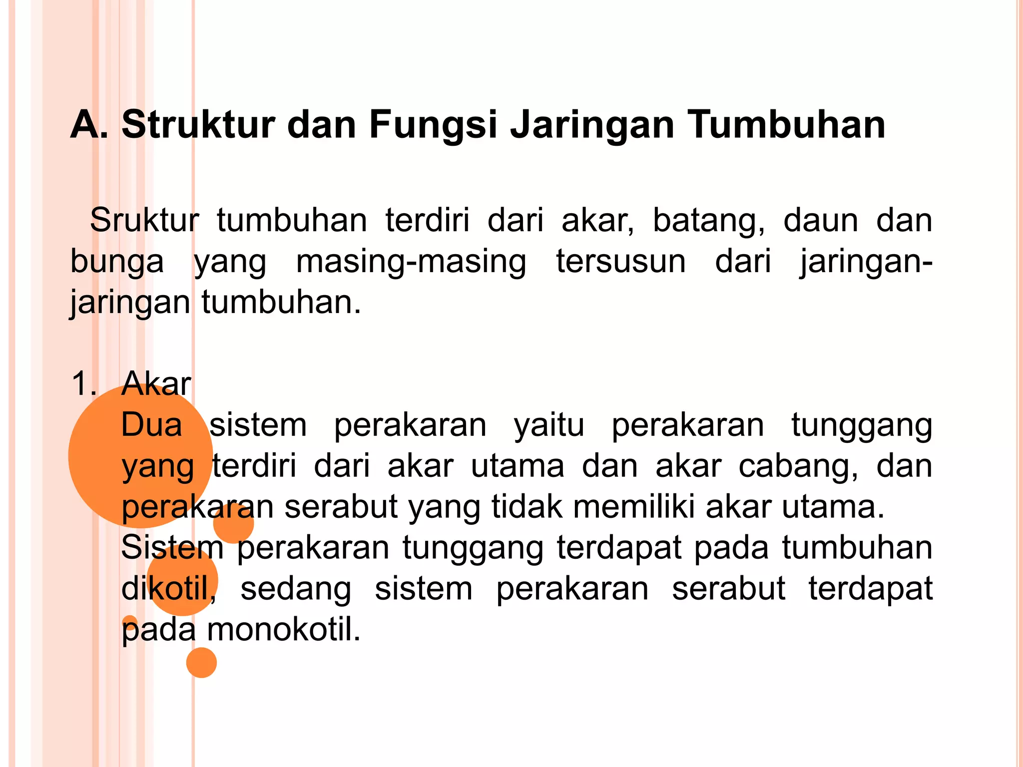 PPT STRUTUR DAN FUNGSI TUMBUHAN.ppt