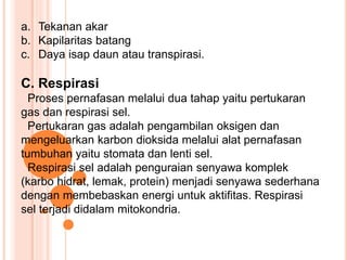 PPT STRUTUR DAN FUNGSI TUMBUHAN.ppt