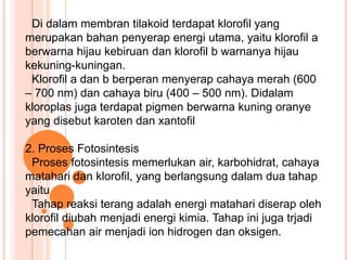 PPT STRUTUR DAN FUNGSI TUMBUHAN.ppt