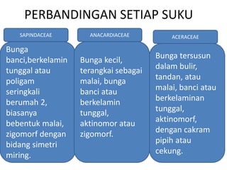 Sistematik Tumbuhan Tinggi (Ordo Sapindales, Gerainales dan Apiales) | PPTX
