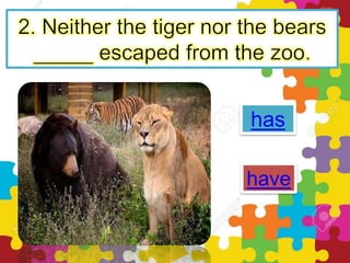 Ppt subject verb agreement demo | PPTX