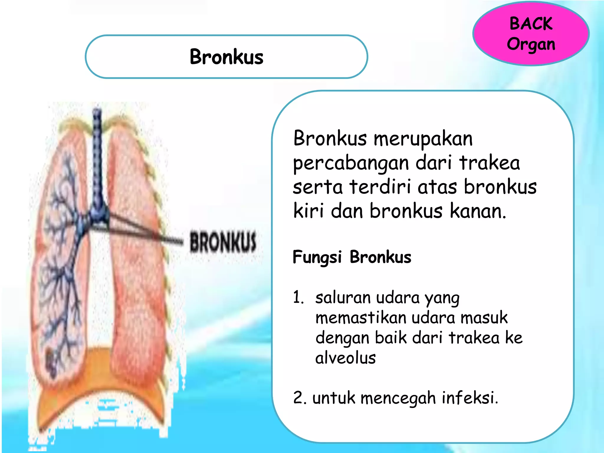 PPT SUBTEMA 1 PB 2 TEMA 2 KELAS 5.pptx