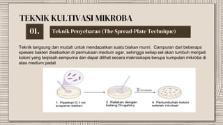 nutrisi dan kultivasi mikroba.pptx