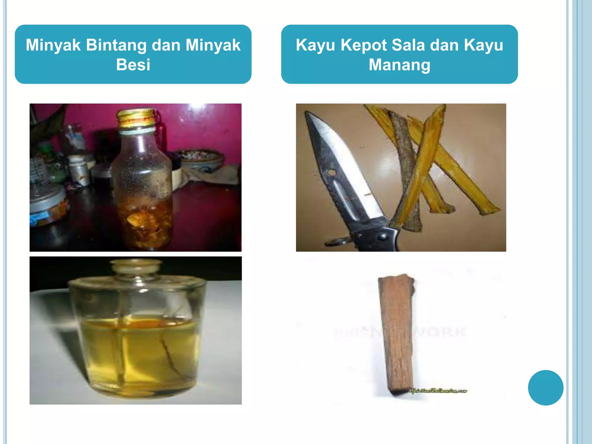 Ppt suku dayak (revisi) | PPTX