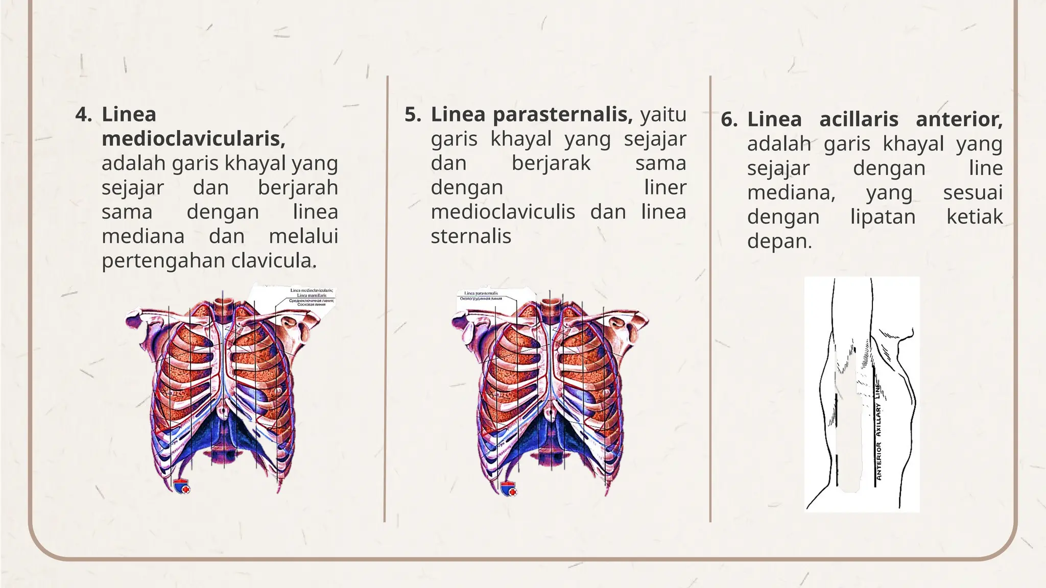 PPT Sumbu, Garis, Arah Pengerakan, dan Istilah Anatomi Manusia.pptx