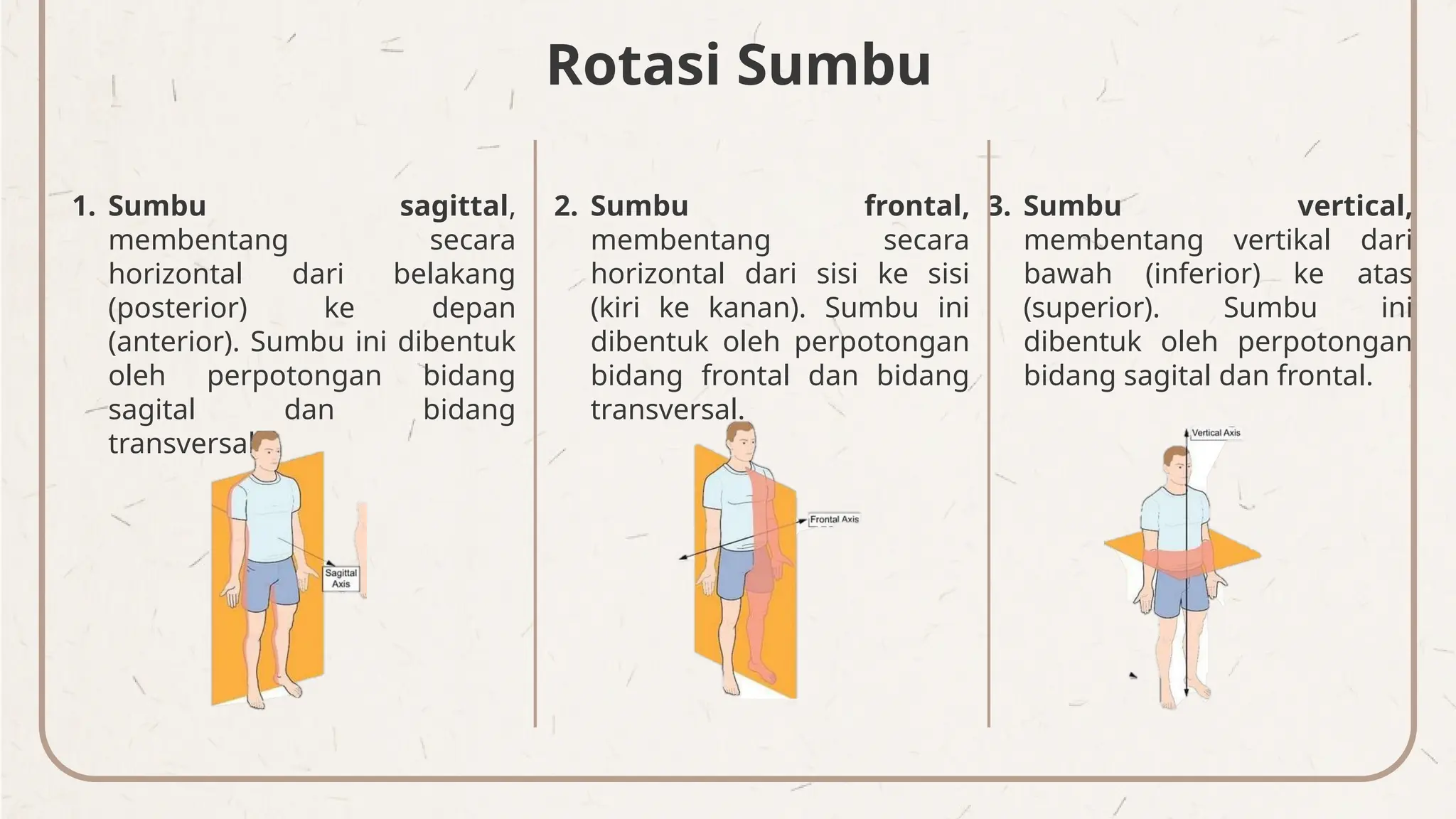 PPT Sumbu, Garis, Arah Pengerakan, dan Istilah Anatomi Manusia.pptx