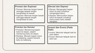 PPT Sumbu, Garis, Arah Pengerakan, dan Istilah Anatomi Manusia.pptx