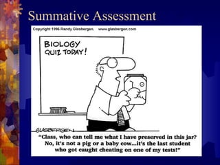 Summative Assessment Comic